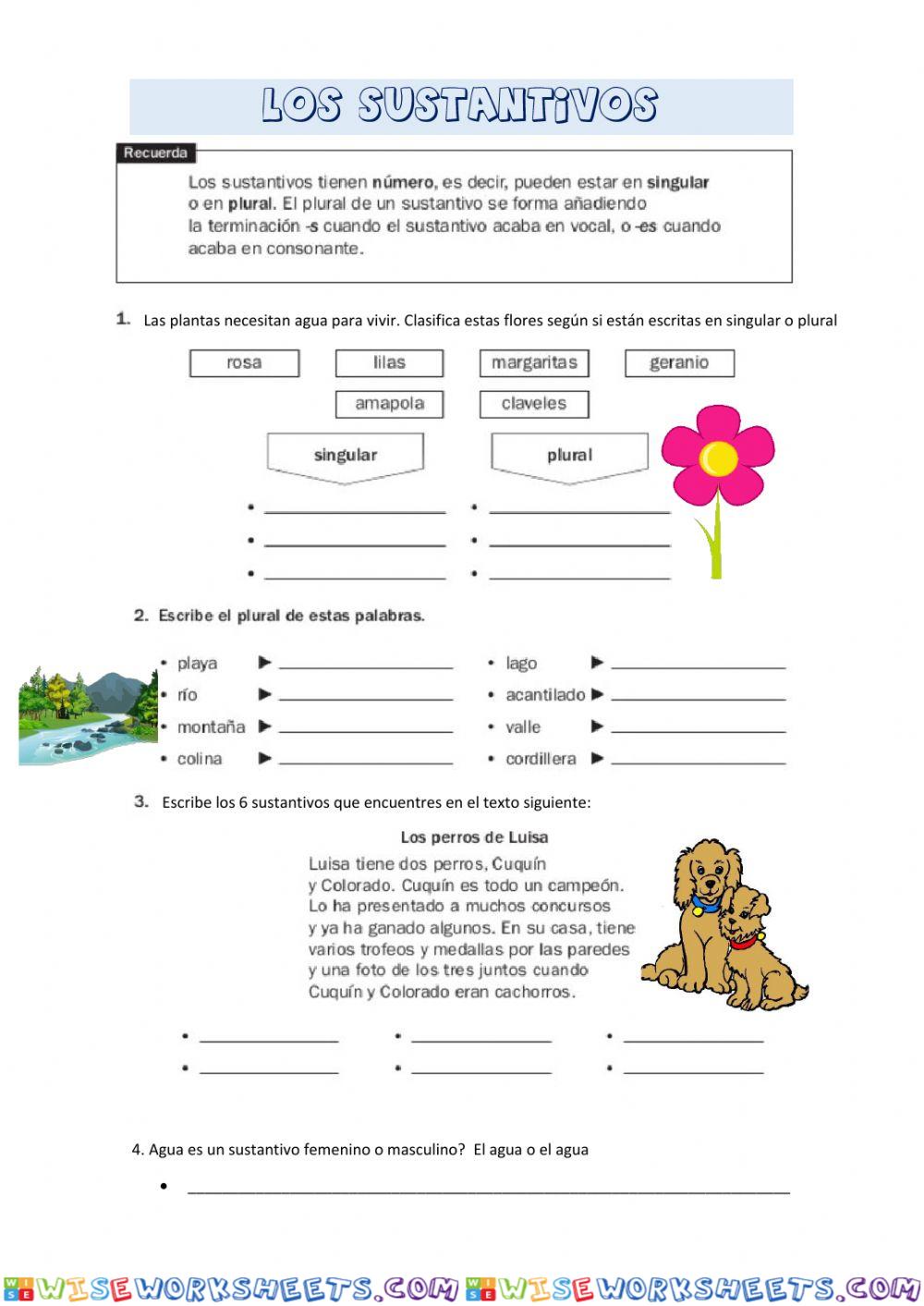 Los sustantivos y los adjetivos Worksheet Online WiseWorksheets